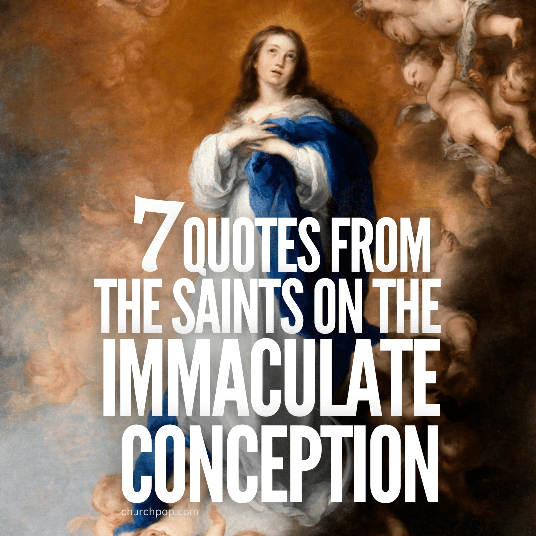 Contemplating Our Lady's Immaculate Conception: 7 Beautiful Saint ...